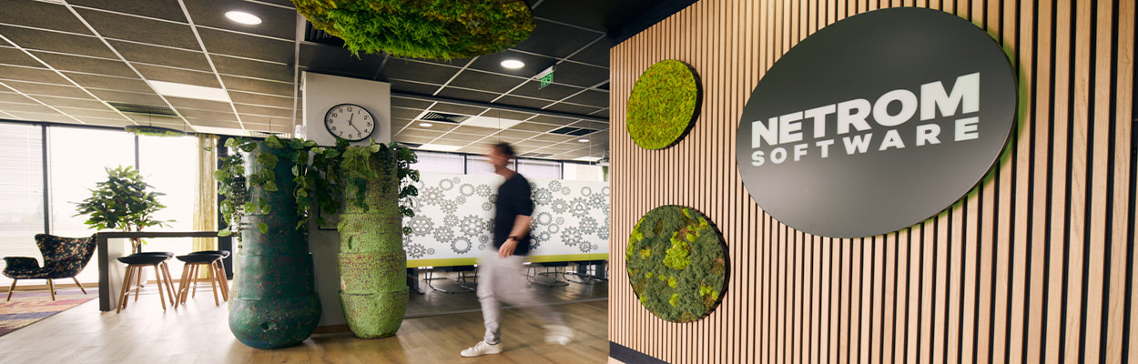 NetRom Software - Facultatea de Automatică și Calculatoare - Timișoara